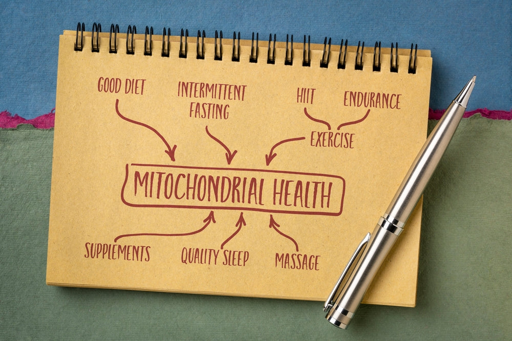 Mitochondria: The Core of Exercise, Longevity, Heart Health, and Cance ...